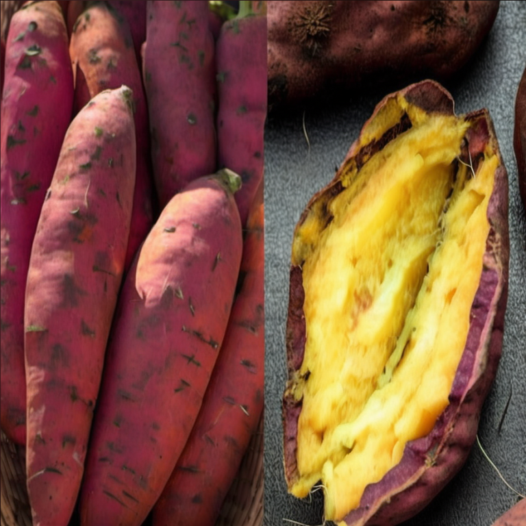 Elevate Your Culinary Skills with Exquisite Sweet Potato Recipes