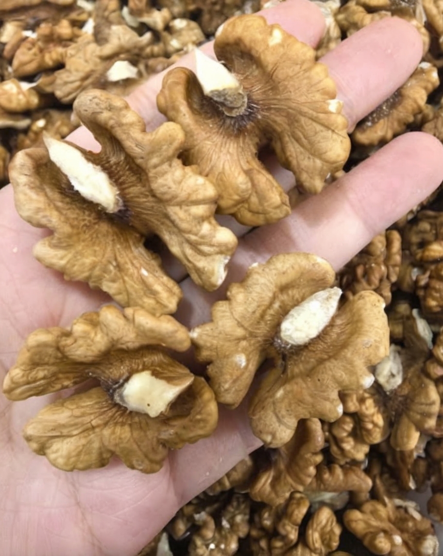 Doctors Reveal That Eating Walnuts Causes Remarkable Changes in the ...