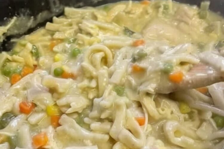 Slow Cooker Creamy Chicken & Noodles - cooking art