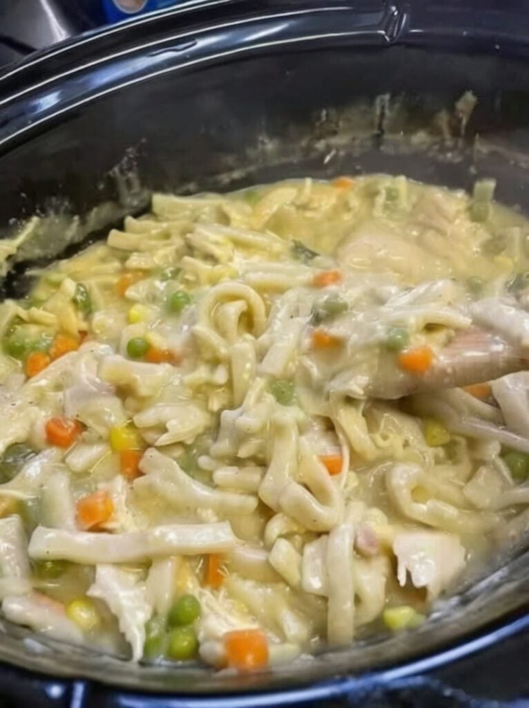 Slow Cooker Creamy Chicken & Noodles - cooking art